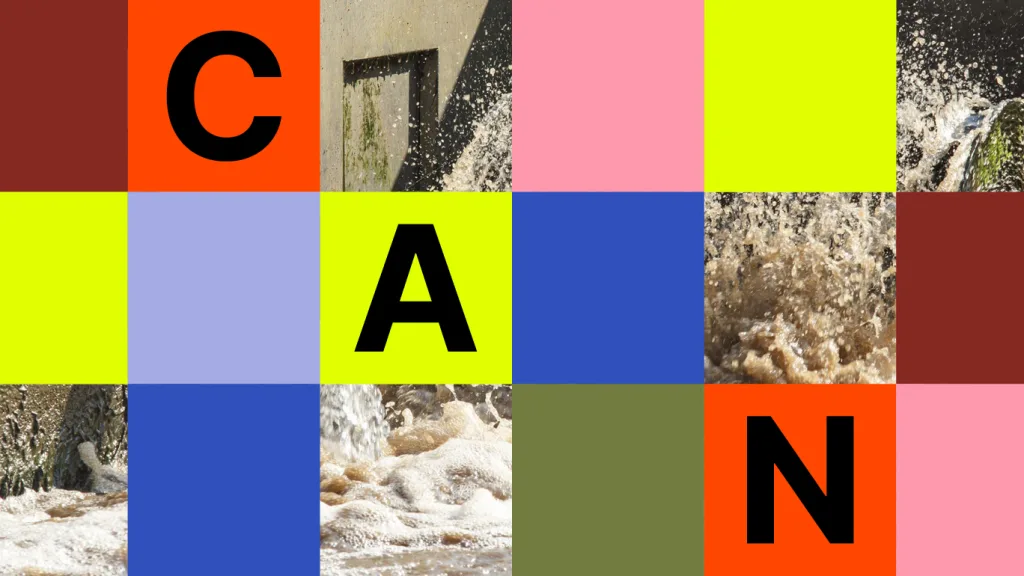 Citizen's Arrest Network